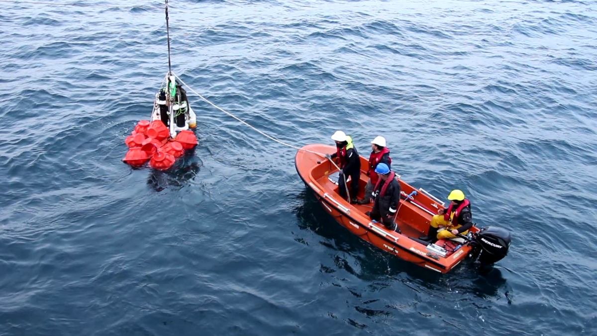Tracing the methane release from the seabed to the atmosphere: recovery ...