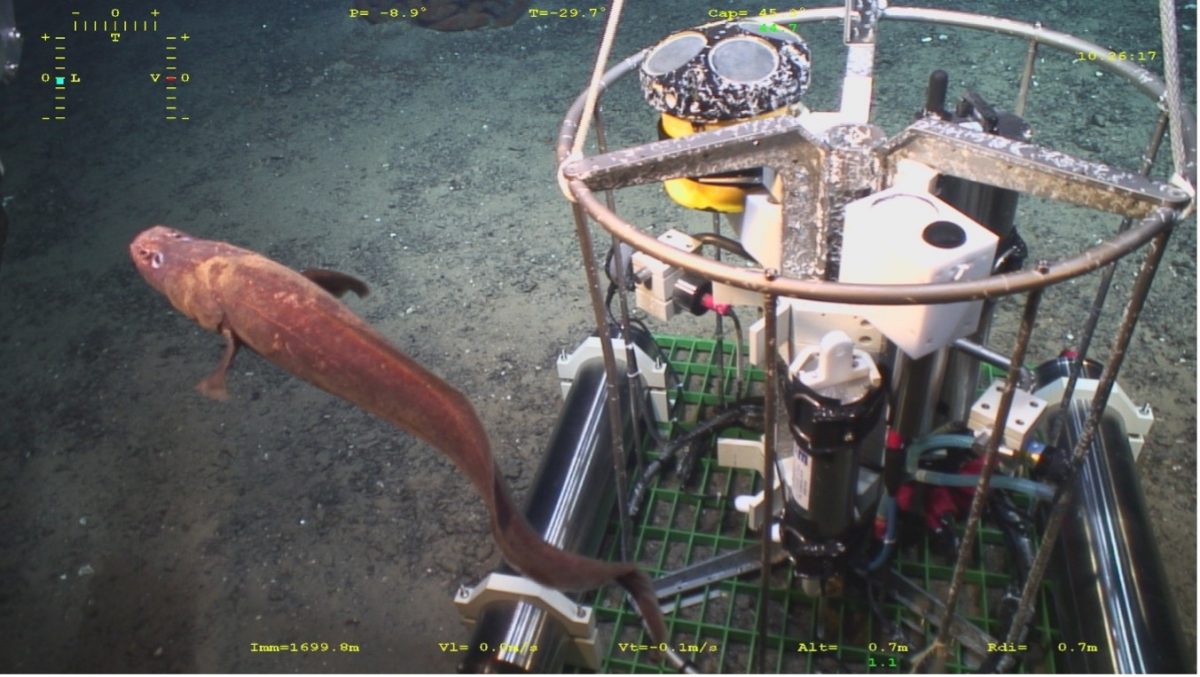 The EMSO Generic Instrument Module (EGIM): Standardized and ...