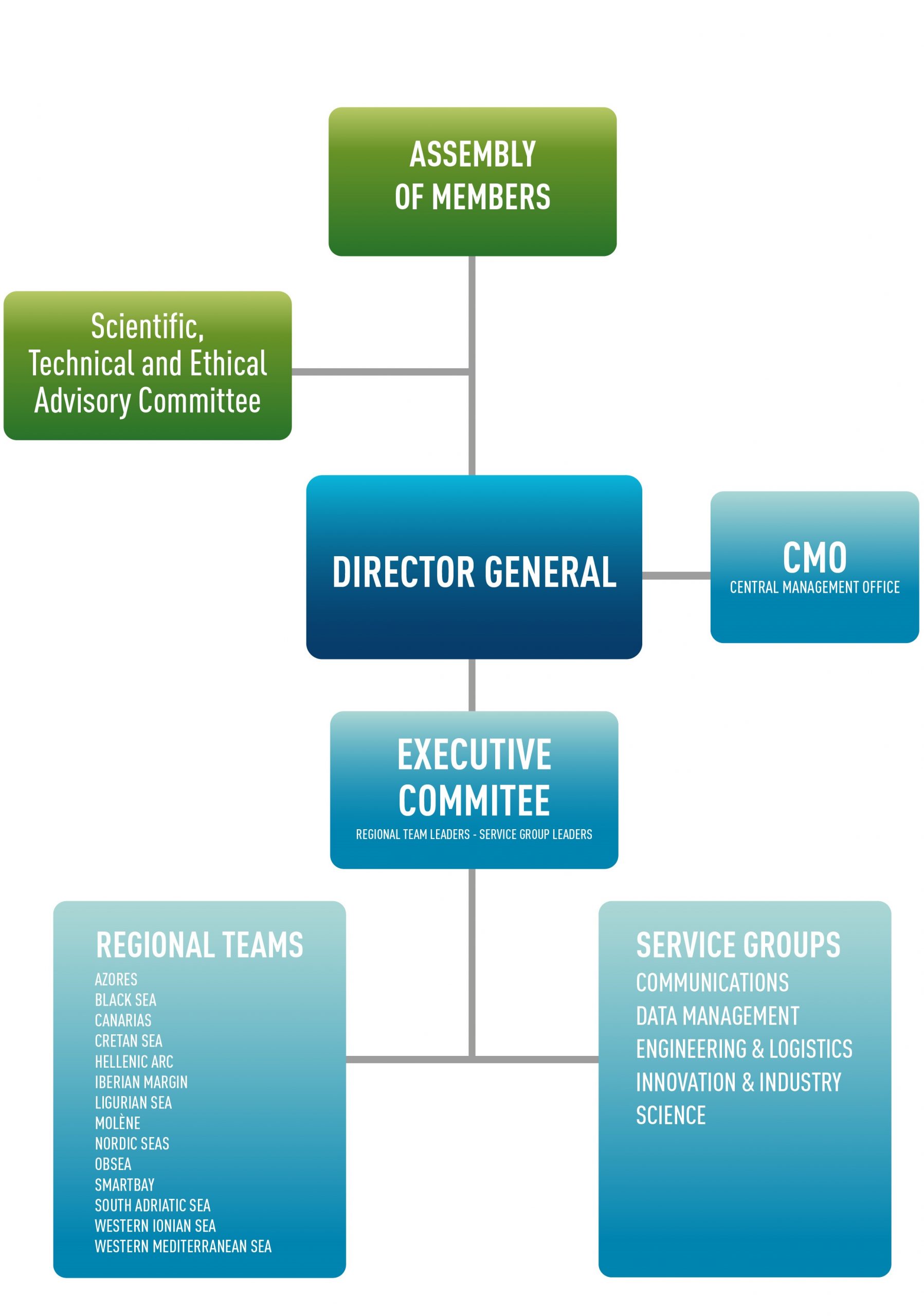 Organization – EMSO