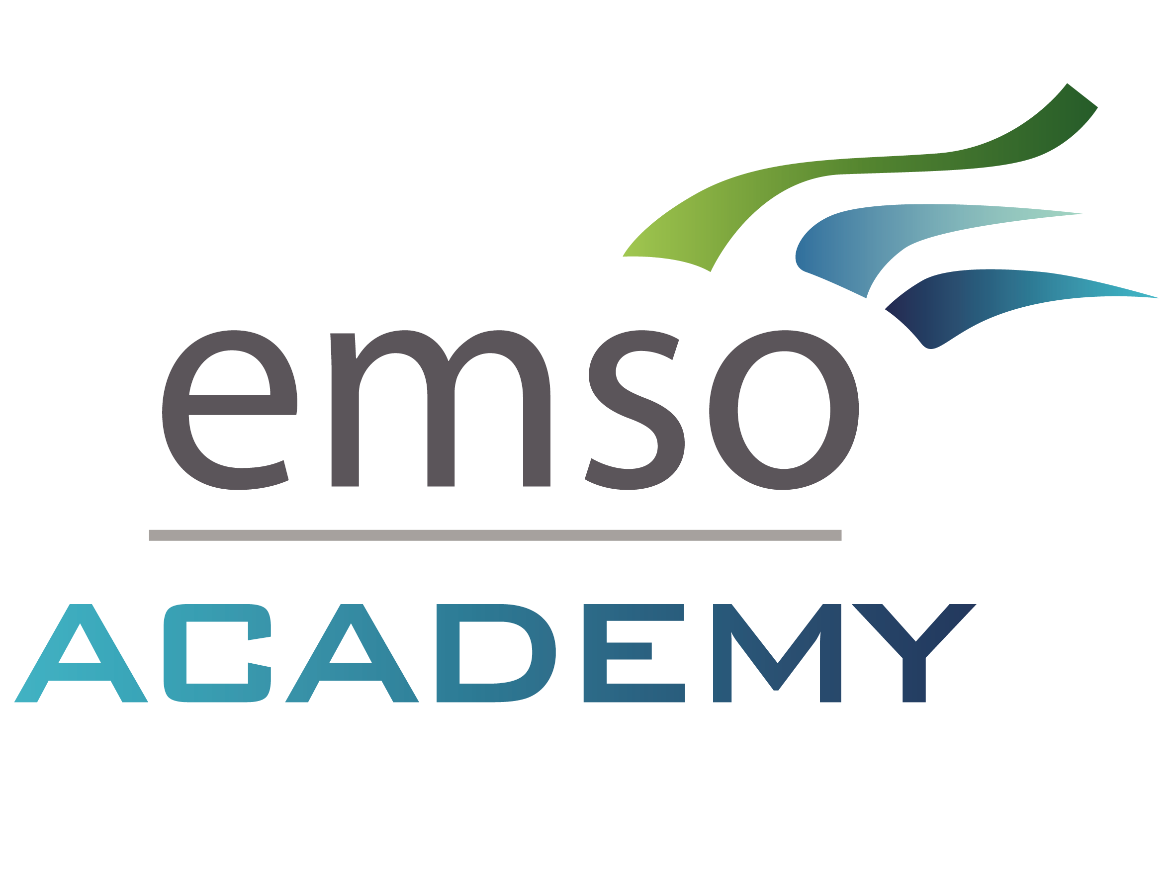 EMSO Academy – EMSO