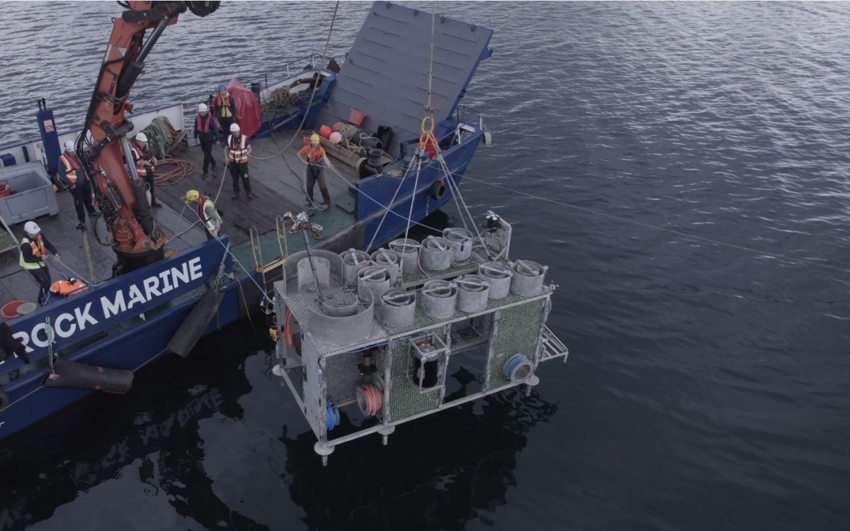 Ocean, between digitalization and sustainability: a new operational strategy for “tailored ...